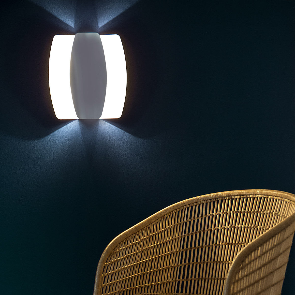 Shop the Papillon Wall Light by Formagenda | Urban Avenue